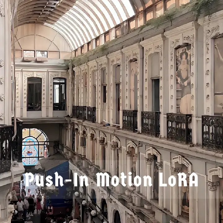 Motion Lora Camera Push In Wan 14B 720p I2V